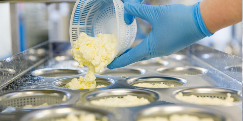 Food Centre Wales share cheese expertise with Food Innovation Wales ...